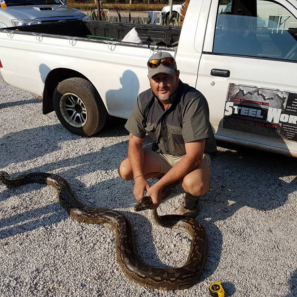 NSARRU rescues a Rock Python | Middelburg Observer
