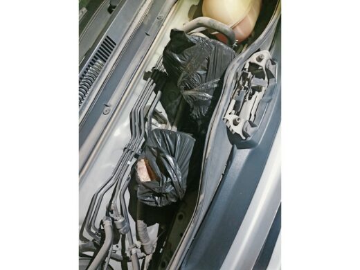 K9 patrol unit makes R8 million rhino horn bust on N4 | Middelburg Observer