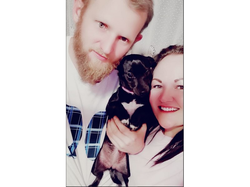 Vlooi byt en glip toe uit by hondesalon | Middelburg Observer