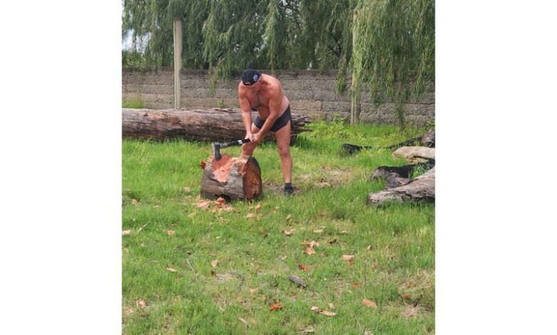 Die geheim van die houtkapper | Middelburg Observer