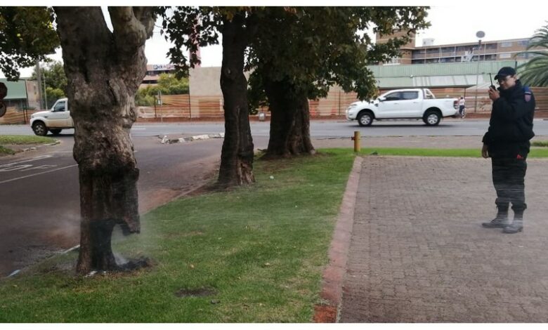 Ou akker reus aan brand gesteek | Middelburg Observer