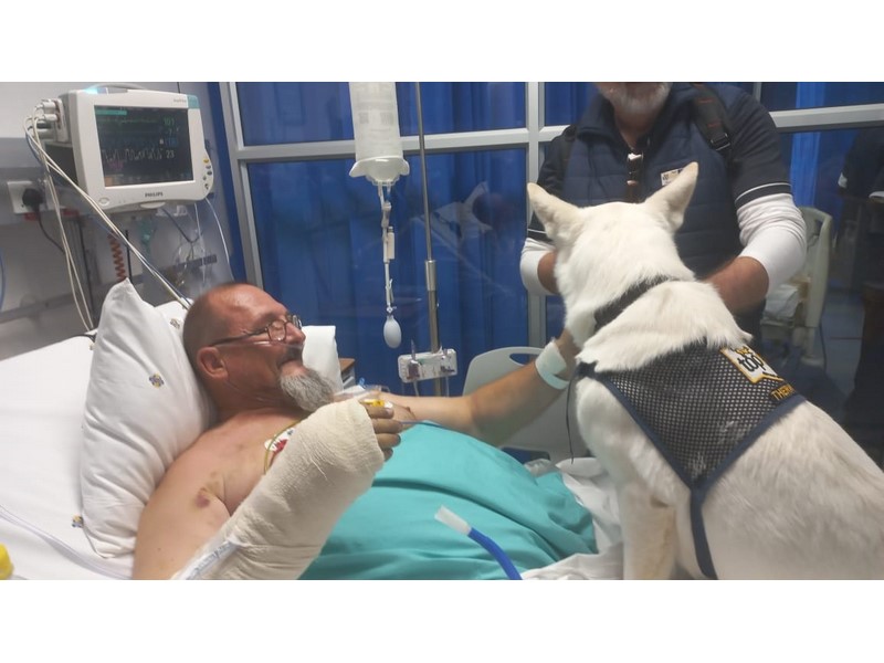 Motorfietsryer tref bees, hond laat hom beter voel | Middelburg Observer