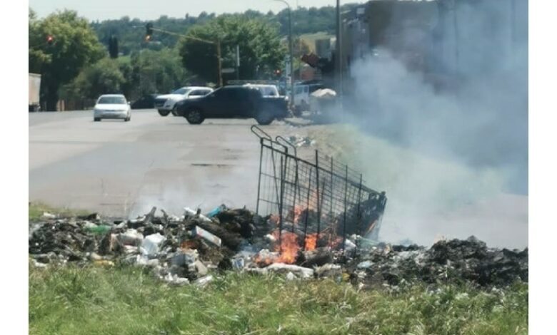 Pappegaai aan Mammagaai: “Hééélp, ek verstik!!!!!!!!!” | Middelburg ...