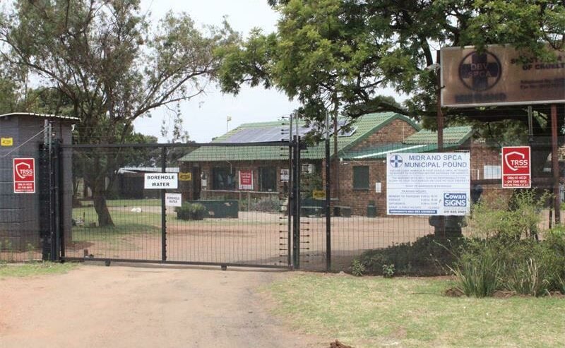 Midrand SPCA faces closure due to financial struggles | Midrand Reporter