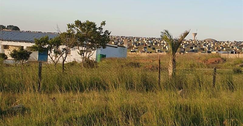 Human Settlement and JMPD aware of Austin View land invasion | Midrand ...