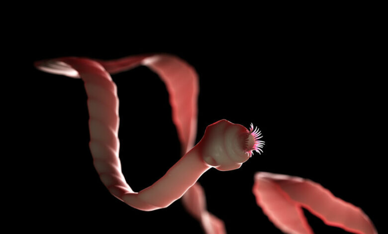 All about deworming your child | Network News