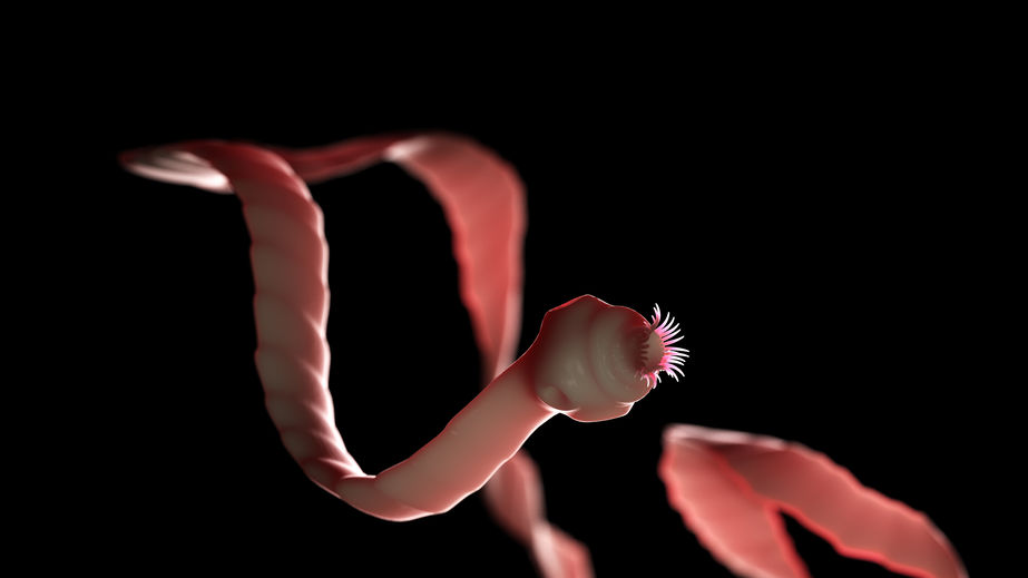 All about deworming your child | Network News