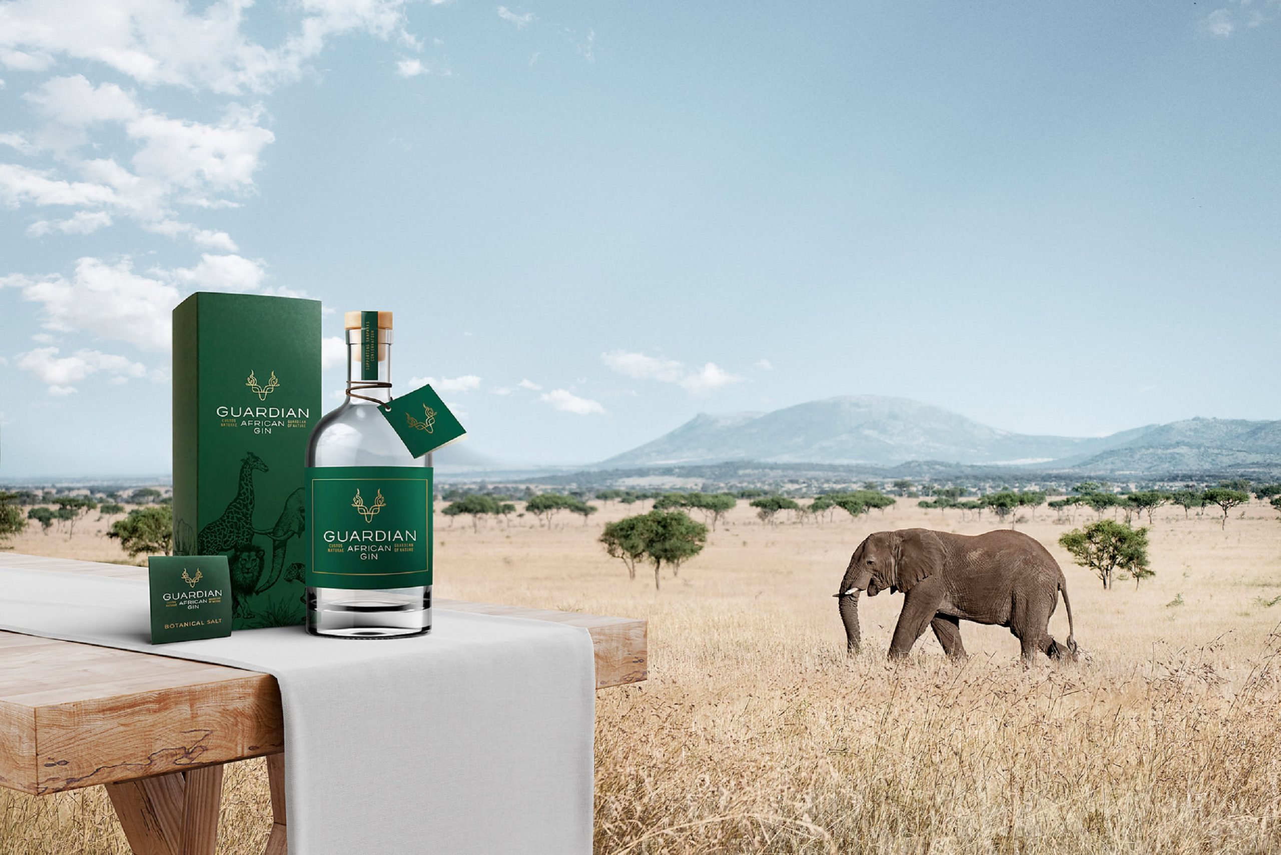 Handcrafted award-winning gin dedicated to conservation | Network News