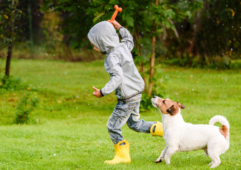 Six reasons why your child should have a pet | Network News