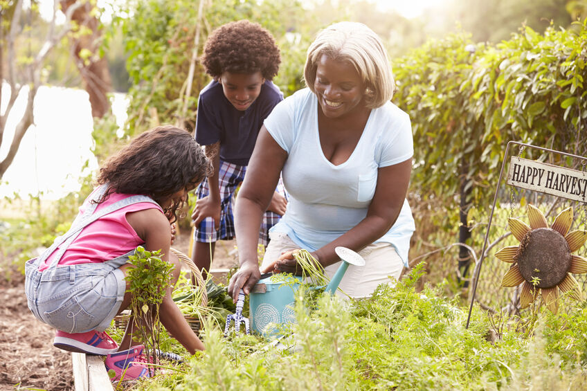 5 Fruit and vegetables for children to grow | Network News