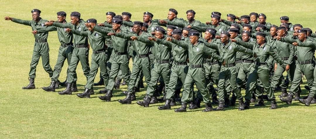 Gauteng’s crime prevention wardens report for duty today - LNN - Network News