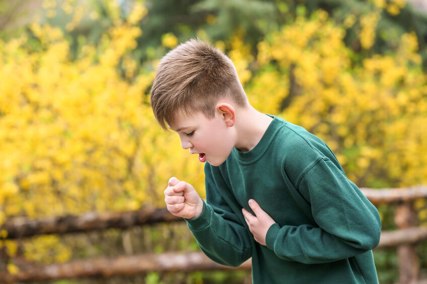 Childhood asthma - avoiding triggers | Network News