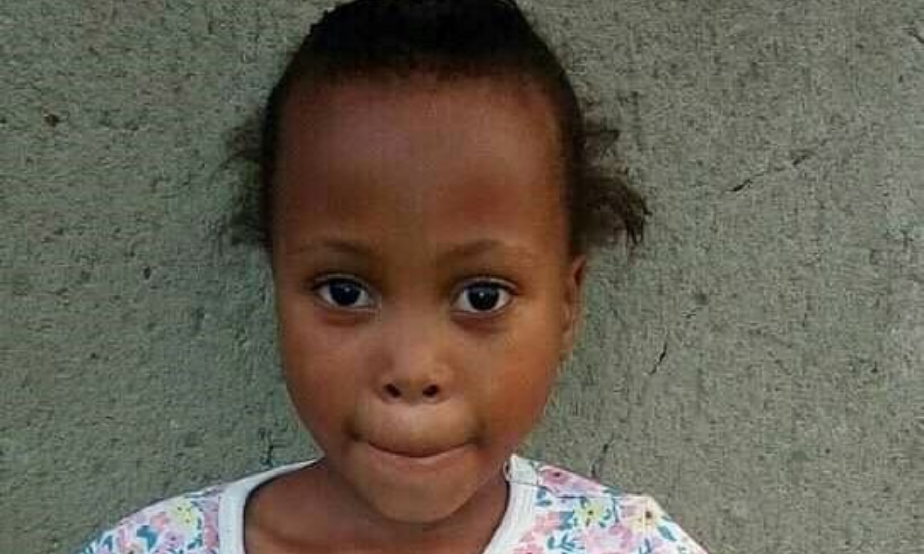 Murder case of mutilated Mpumalanga girl (6): Charges against man ...