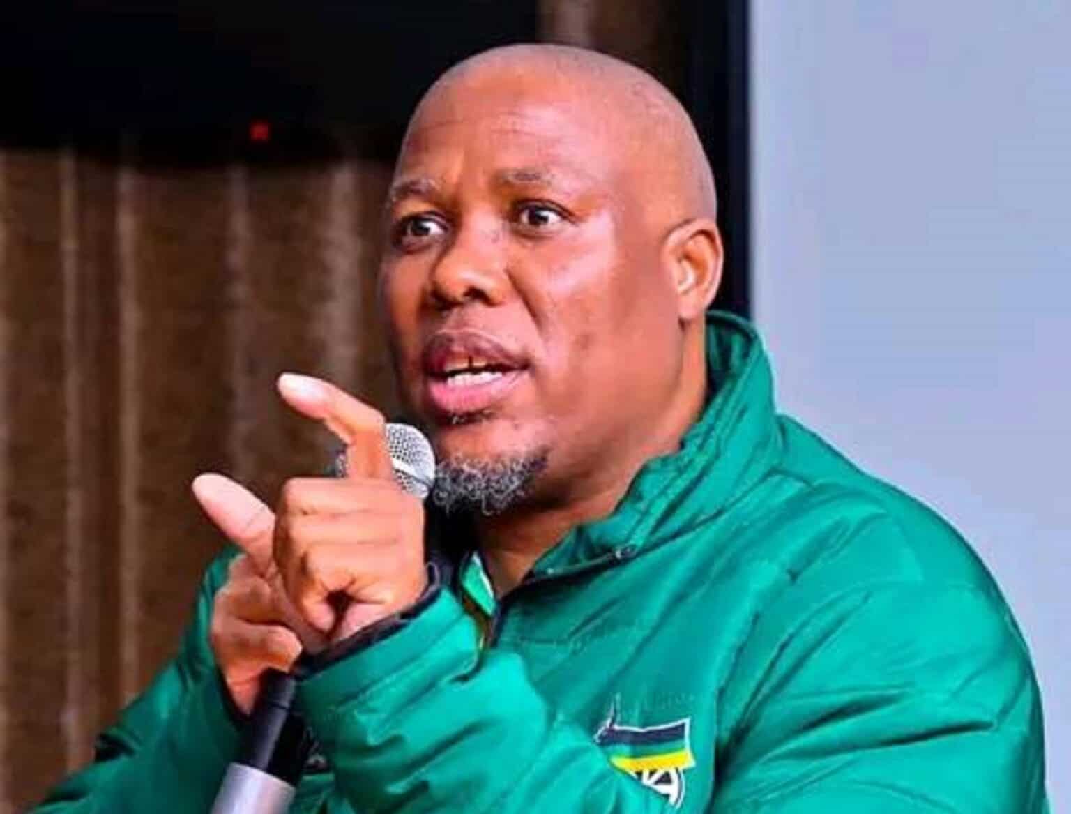 ANC provincial secretary: IFP/DA coalition stands no chance in KZN ...