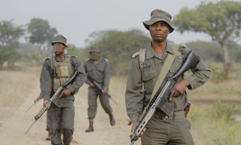 ‘Rhino Man’ film brings South African rangers’ daily battle to the ...