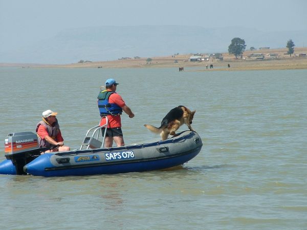 SAPS divers recover 5 bodies across Gauteng in a week - LNN - Network News