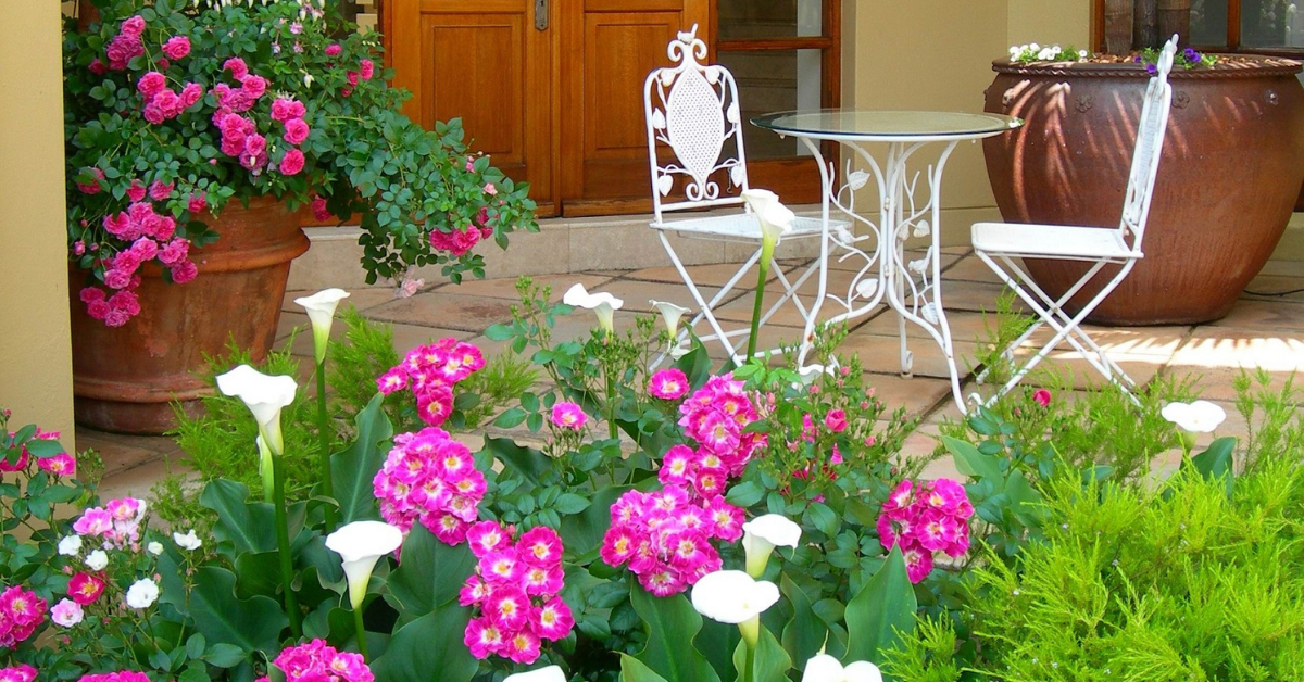 Roses for butterflies and bees