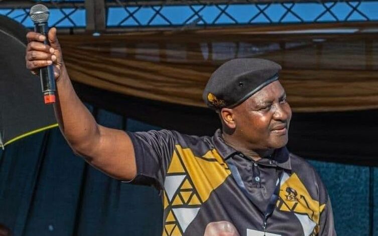 KZN deputy mayor gets the boot in special council meeting - LNN ...