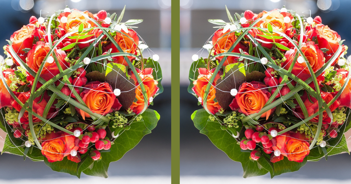 Wedding rose trends: It’s all about colour | Network News