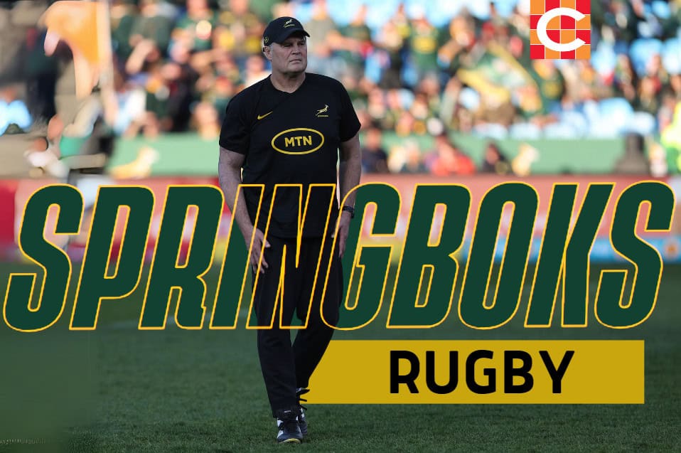 Rassie Erasmus: Cameron Hanekom a 'Bok army knife' | Network News