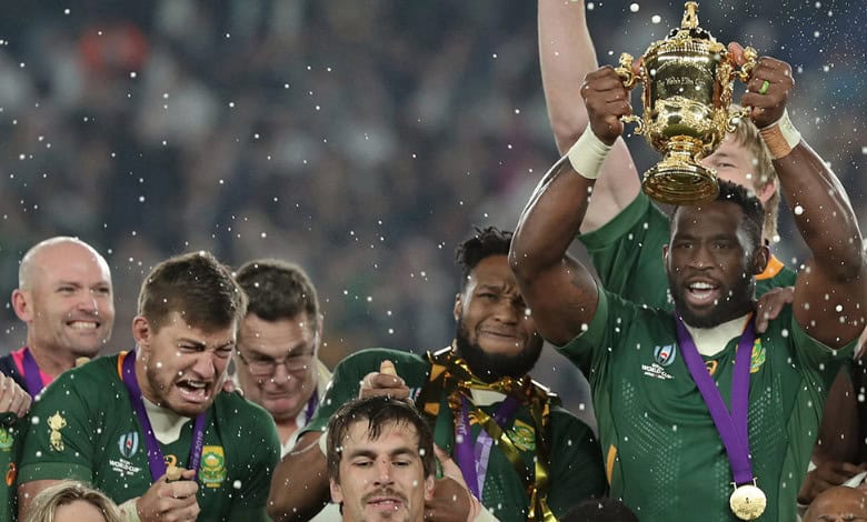 Jacques Nienaber rules out Springboks return | Network News