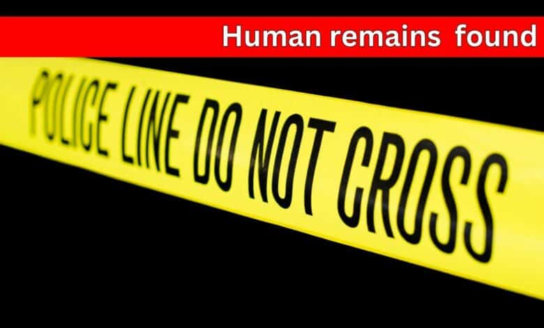 Graphic content warning: Human remains discovered near Mpumalanga river ...