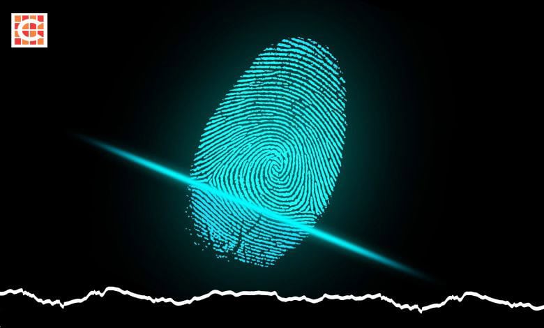 Fingerprints and facial scans to help Sassa stop fraudsters - LNN - Network News