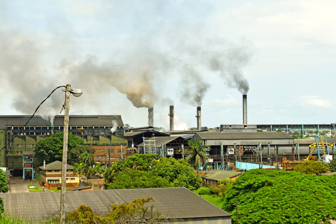 Gledhow Sugar Company weighs up takeover bids | North Coast Courier
