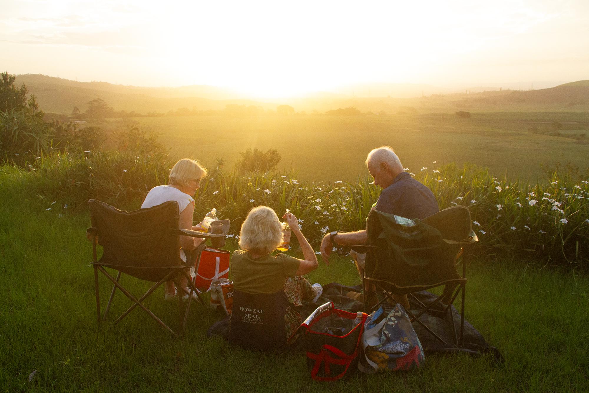 World-famous barn swallows return to Mount Moreland | North Coast Courier