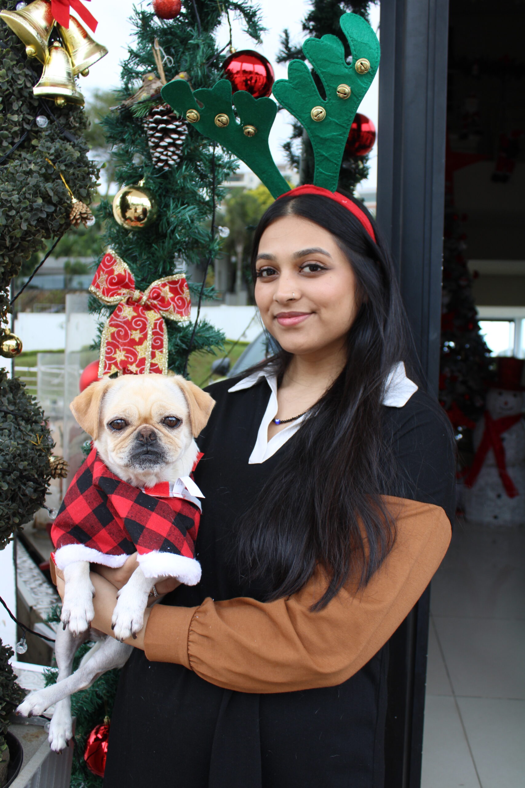 Light up pugs' lives at colourful display in La Lucia | Northglen News