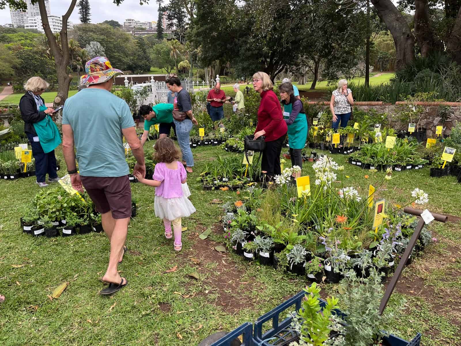 Don’t miss out on indigenous plant fair in Durban this weekend ...