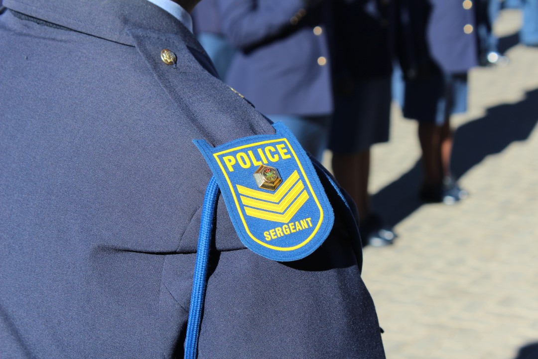 Combined SAPS, security operation results in multiple arrests ...