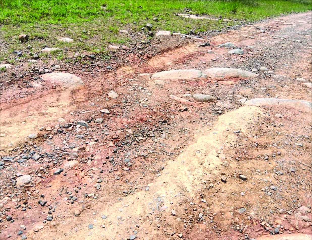 Northern KZN Museums fight new battle against road conditions ...