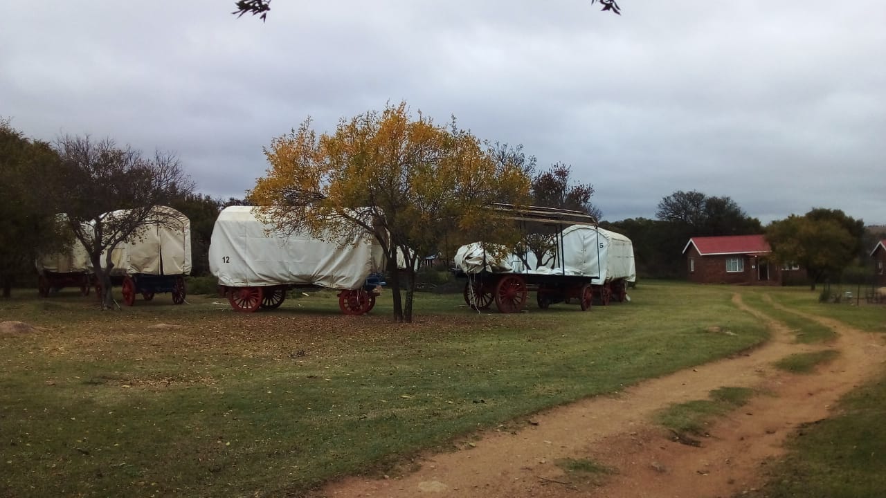 Ossewa-kamp later vandeesmaand geopen | Parys Gazette