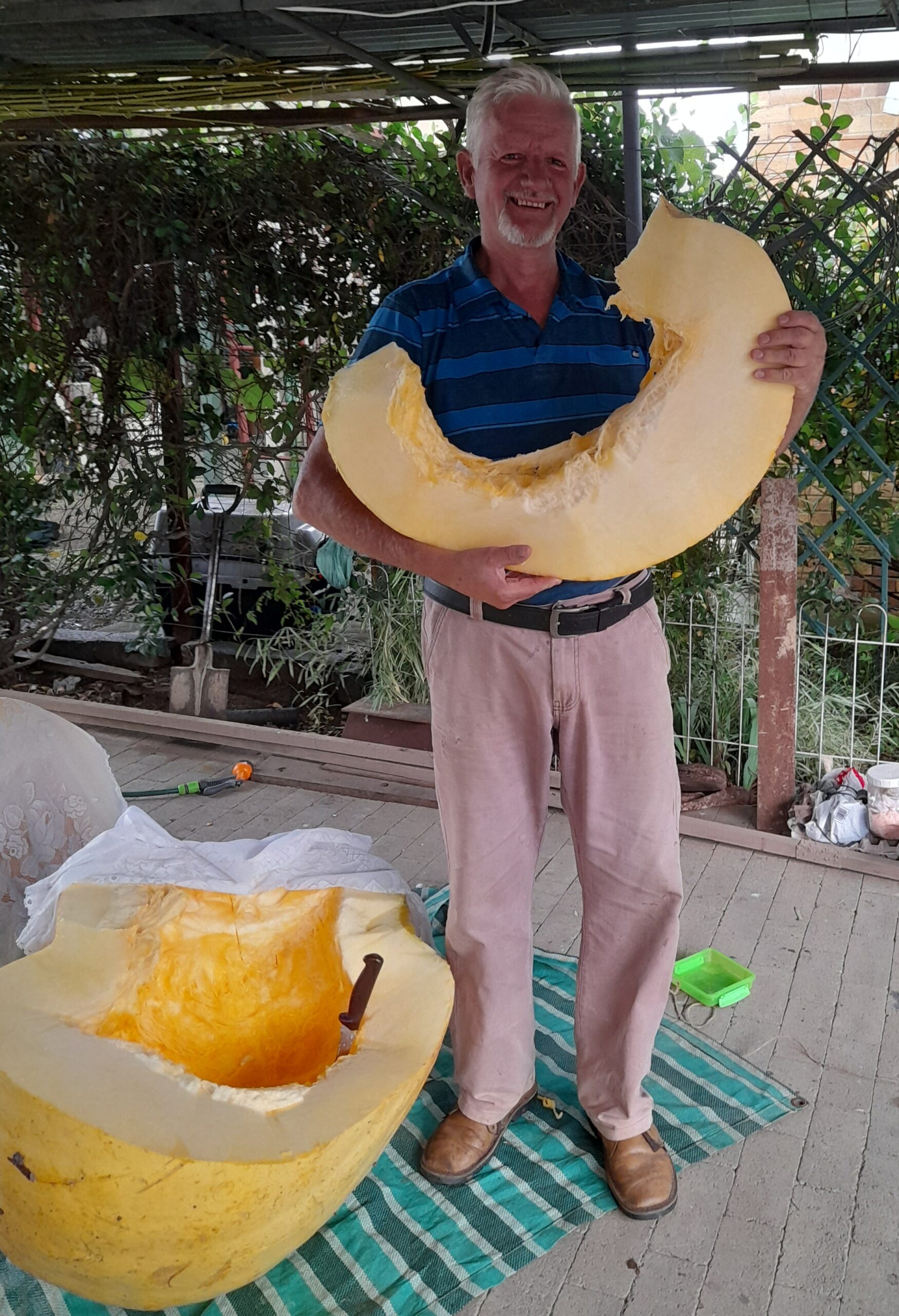 Dié pampoen trek die skaal ver oor die 100kg | Parys Gazette