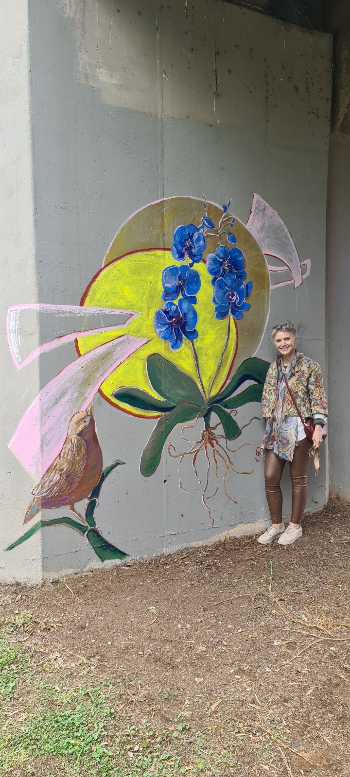 Vaal se klipvis raak toe die water | Parys Gazette