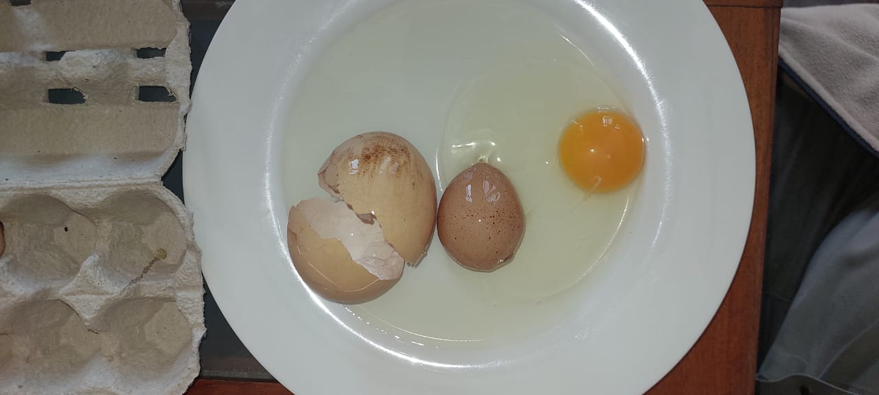 En in die eier is.... | Parys Gazette