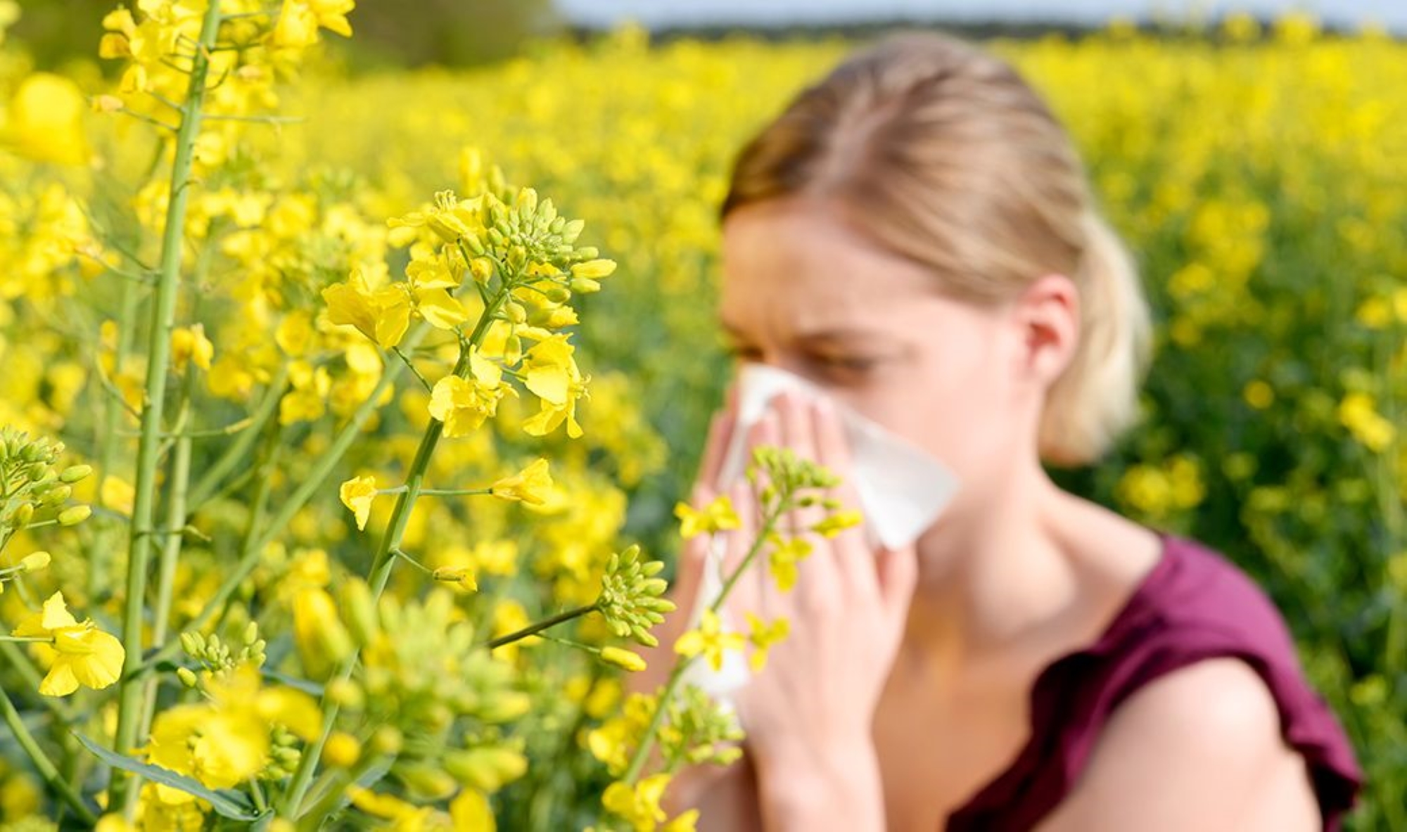 World Allergy Week 2023: The Link Between Climate Change & Worsening ...