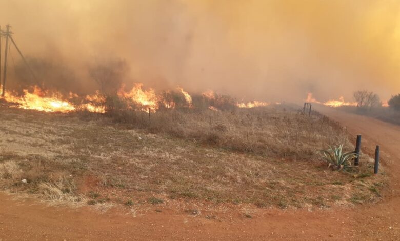 Working on Fire assists in tackling devastating grassland fires in the ...