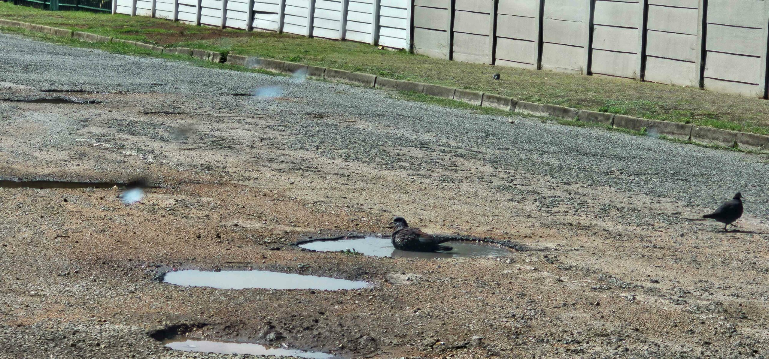 As dit reën....word daar gebad in die gate | Parys Gazette