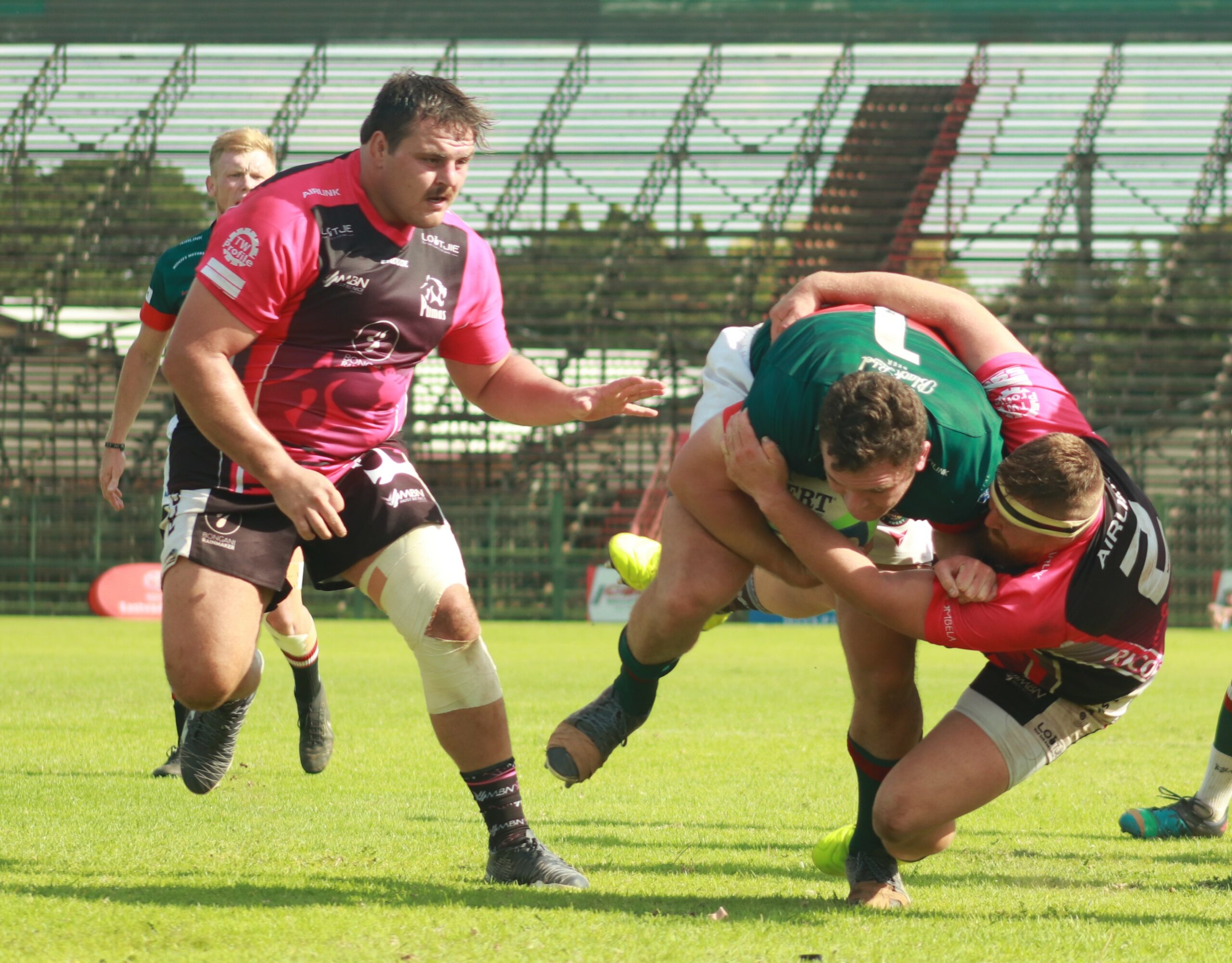 Foto's: Luiperds val vas in katgeveg teen Pumas | Potchefstroom Herald