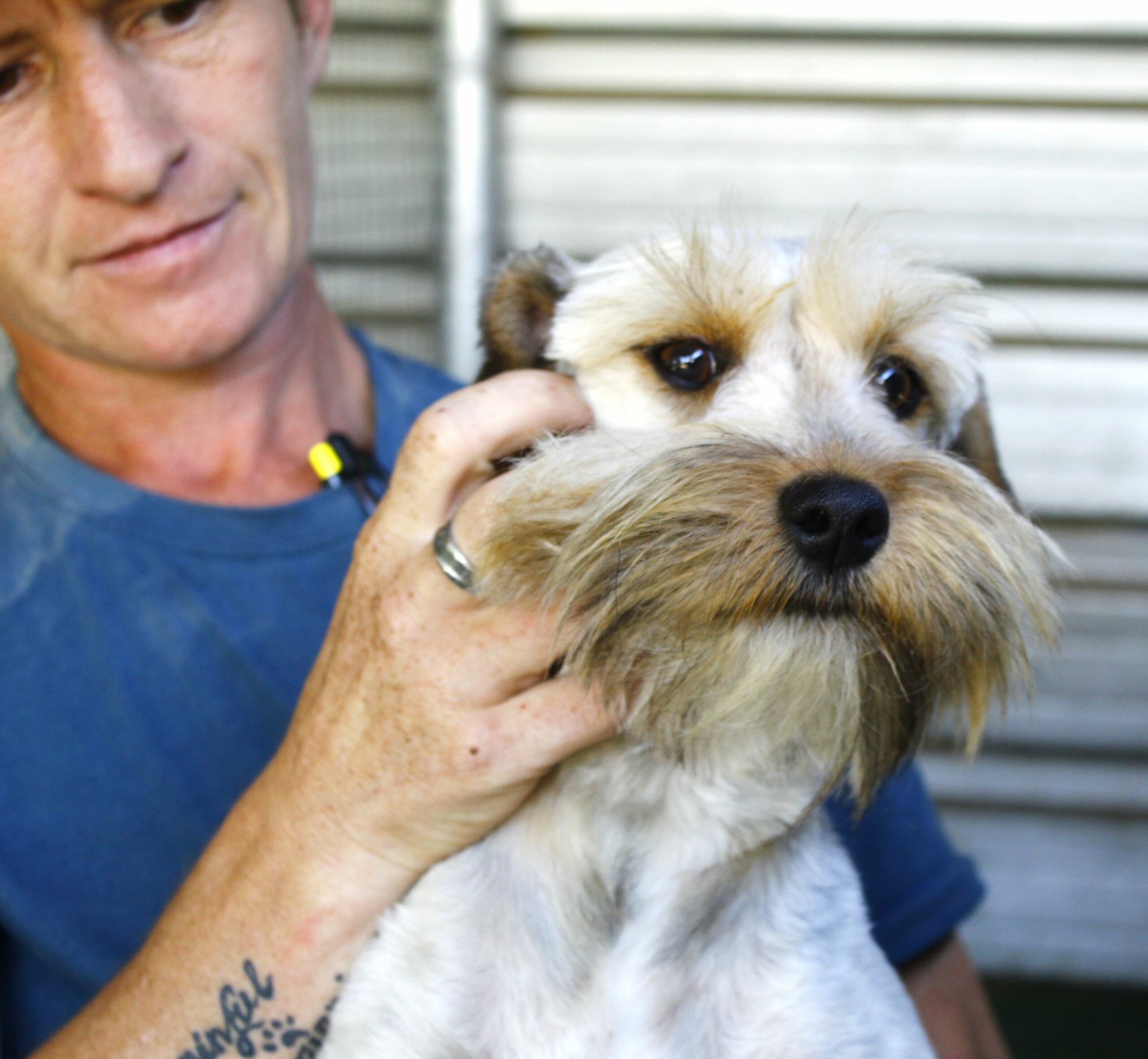 PAWS outreach: how can you help? | Potchefstroom Herald