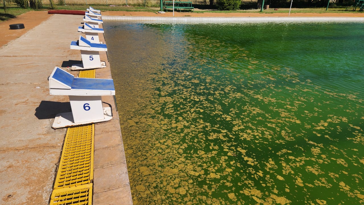 NW Underwater Hockey cleans Potch Dam swimming pool | Potchefstroom Herald