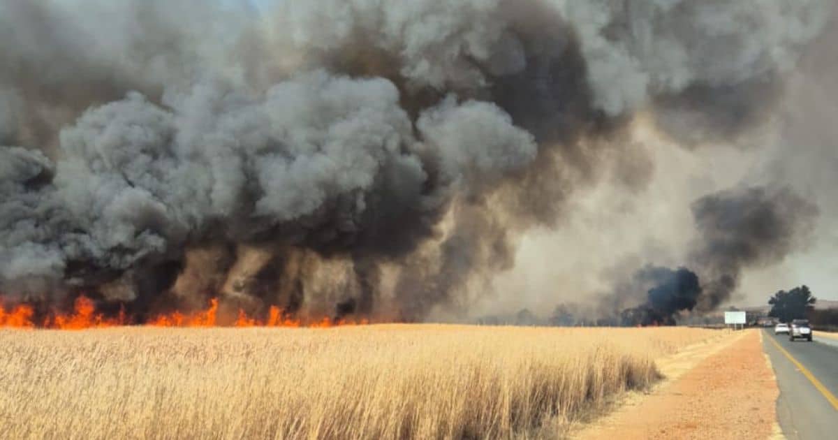 Large grass fire outside Potchefstroom | Potchefstroom Herald