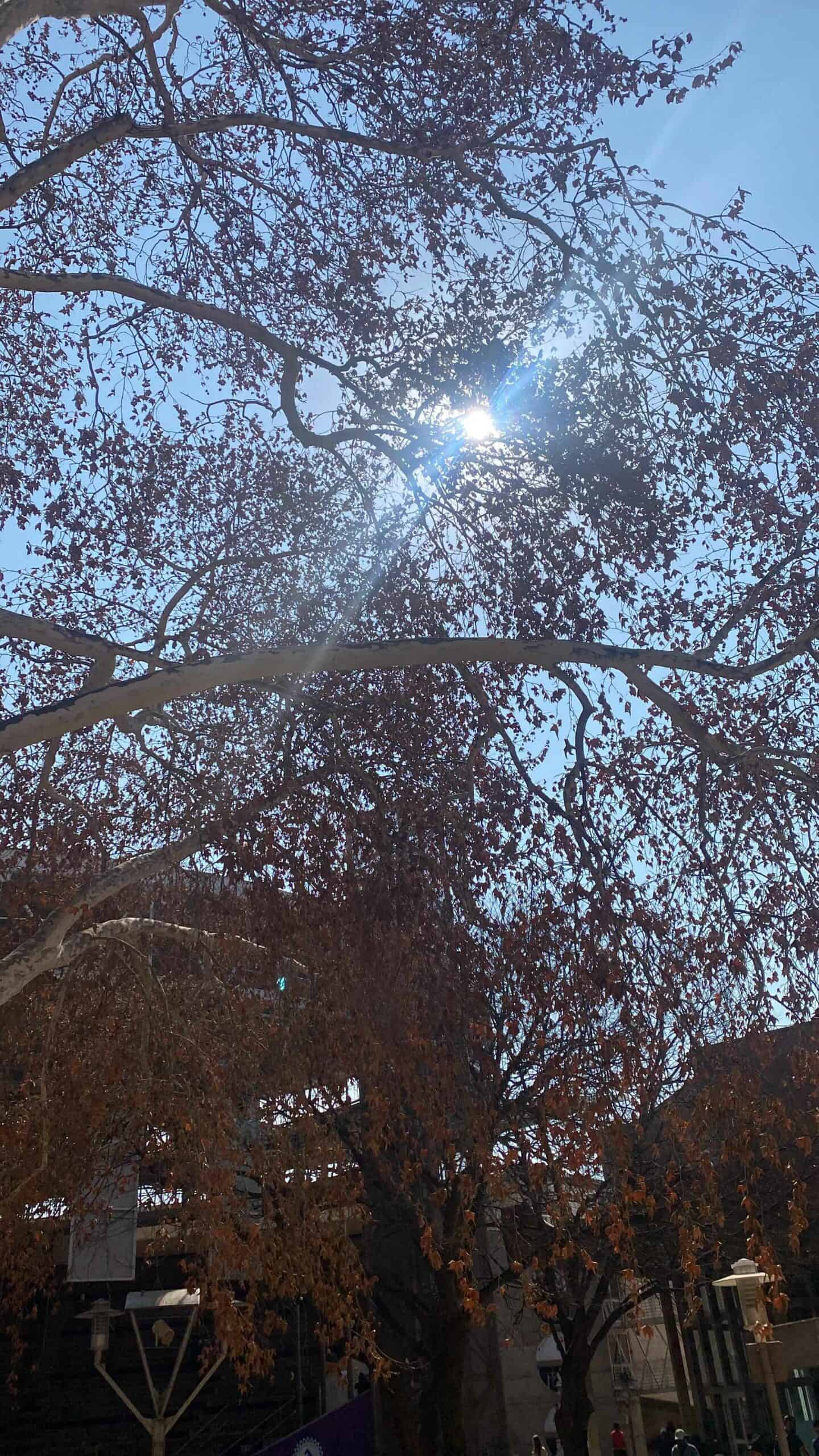 Weather: Sunny and warm with clear skies today | Potchefstroom Herald