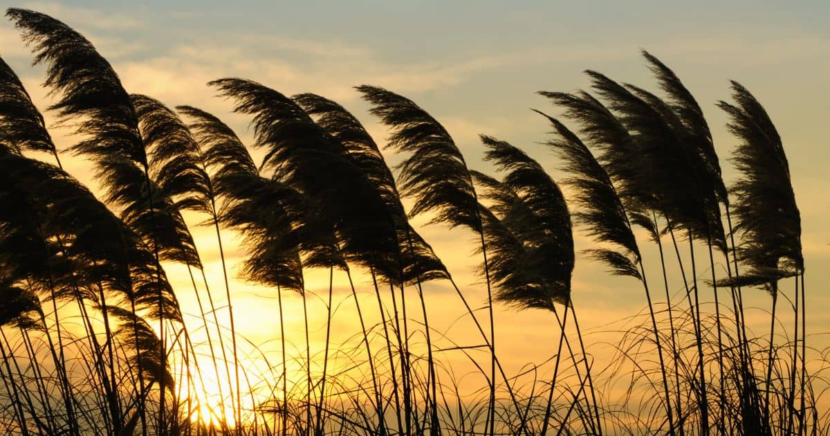 Bewolk, winderig en warm – weer vir die week | Potchefstroom Herald