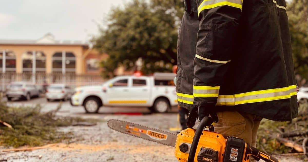 Boom val om na weerlig dit raakslaan | Potchefstroom Herald