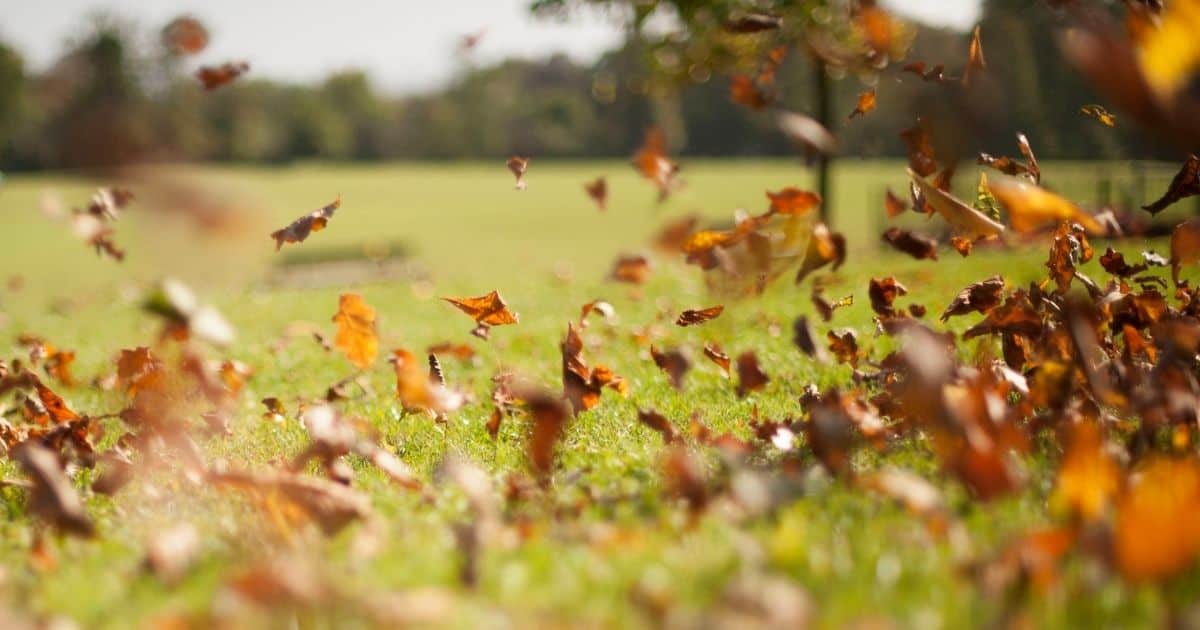 Winderige, koel week vir Potchefstroom | Potchefstroom Herald