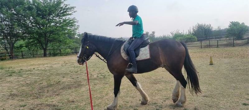 First non-verbal candidate completes Equestrian Work Programme with ...