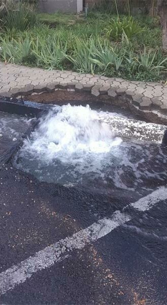 JW Samwu workers’ strike drowns Region E | Randburg Sun